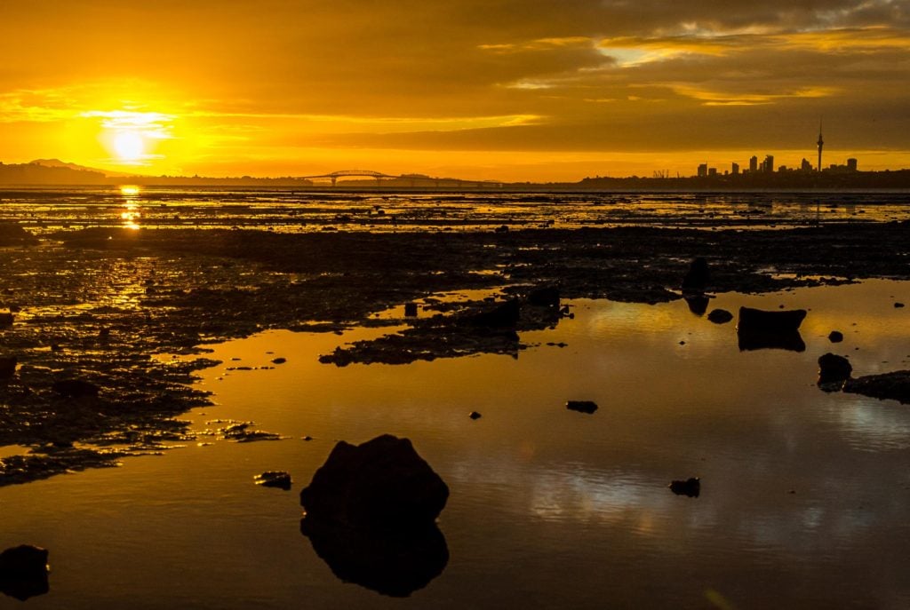 Te Atatū Peninsula Masterplan - Te Atatu Peninsula Business Association